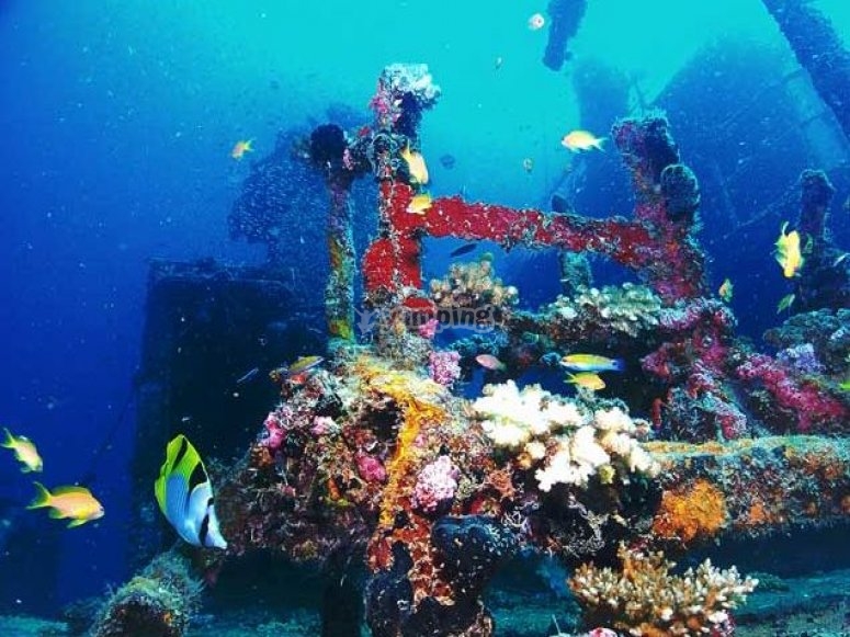 Buceo en Islas Maldivas