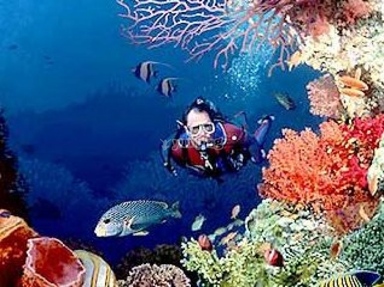 Buceo en Islas Maldivas