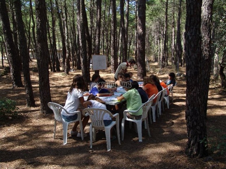 Canadian Camp, precios y reservas 2026 | Yumping