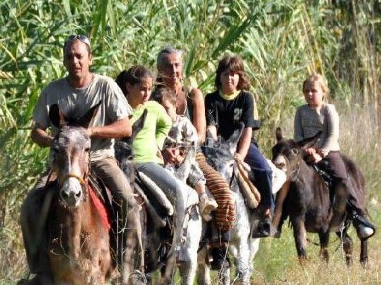 Excursión en burro en familia