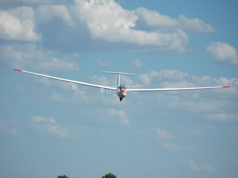 Tipos de vuelo sin motor