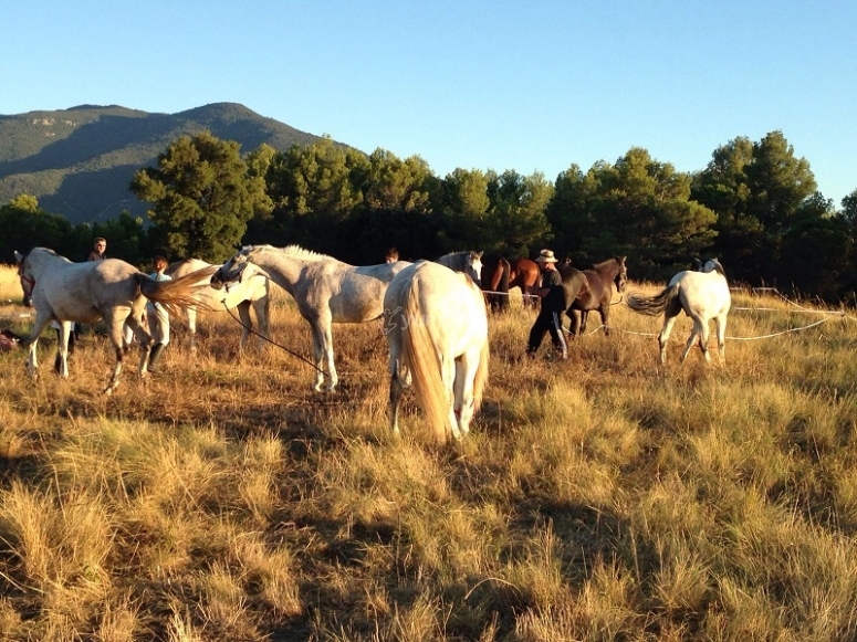 Ruta a caballo de Serinya hasta Besalú de 5 horas desde 80€ - Yumping.com
