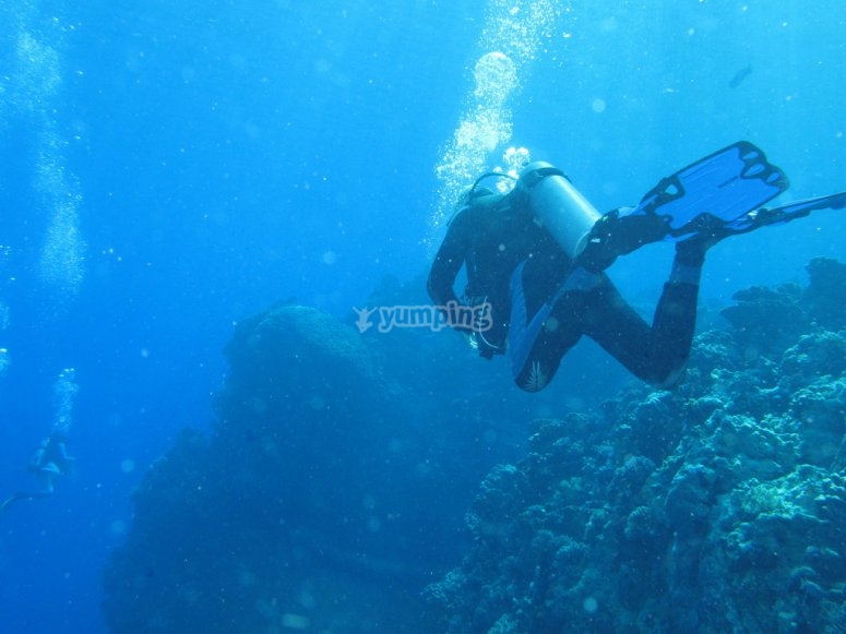 Cómo ser buceador profesional