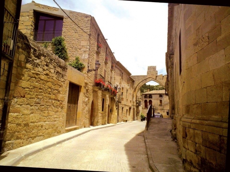 Rioja Alavesa, prices and bookings 2026 | Yumping