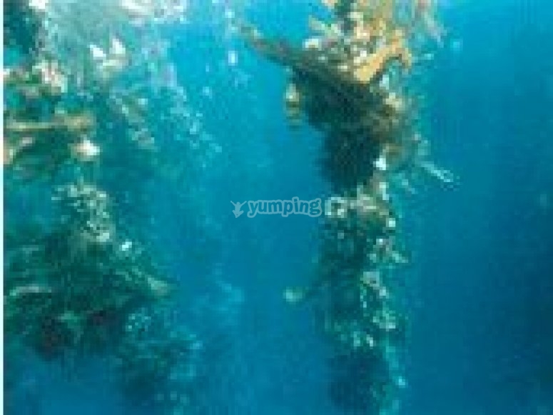 Naviera Mar de Ons, precios y reservas 2025 | Yumping