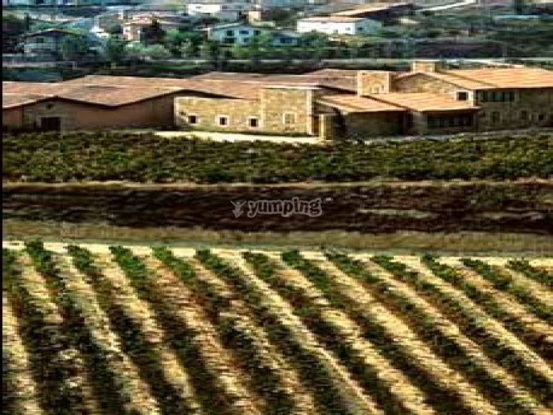 Bodegas Murua, precios y reservas 2025 | Yumping