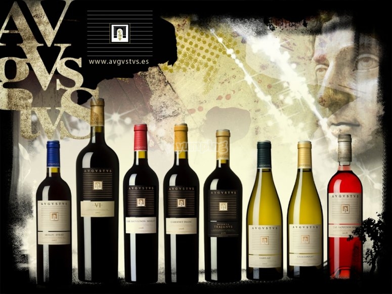 Bodegas Augustus Forum, precios y reservas 2024