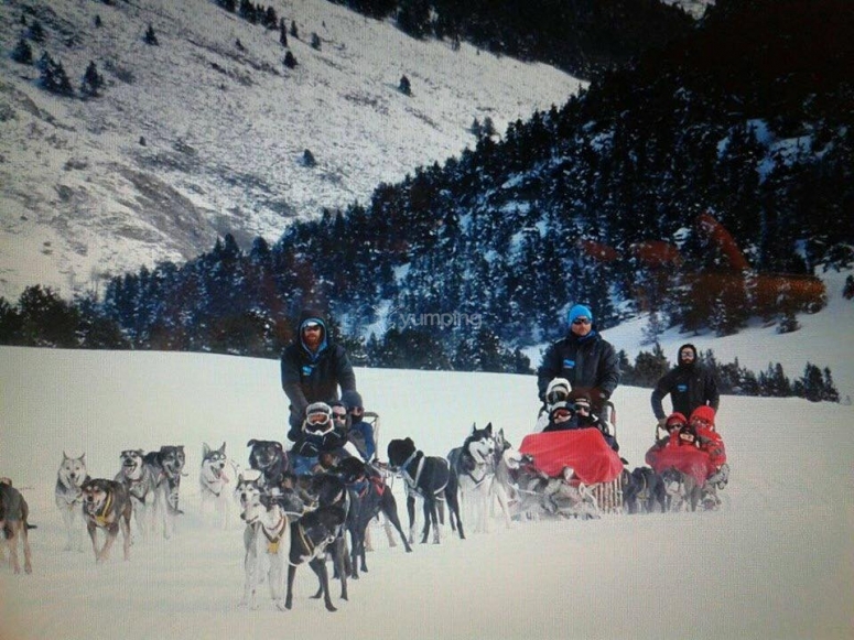 Pack de mushing y comida típica del Valle de Arán desde 240€ - Yumping.com