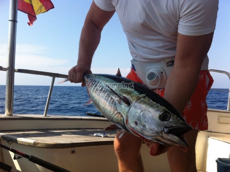 Salida de pesca del atún en Barcelona, 7 horas desde 1400€ | Yumping