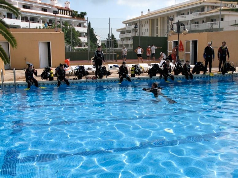 ACUC Open Water Diver en Alcoceber, Castellón desde 400€ - Yumping.com