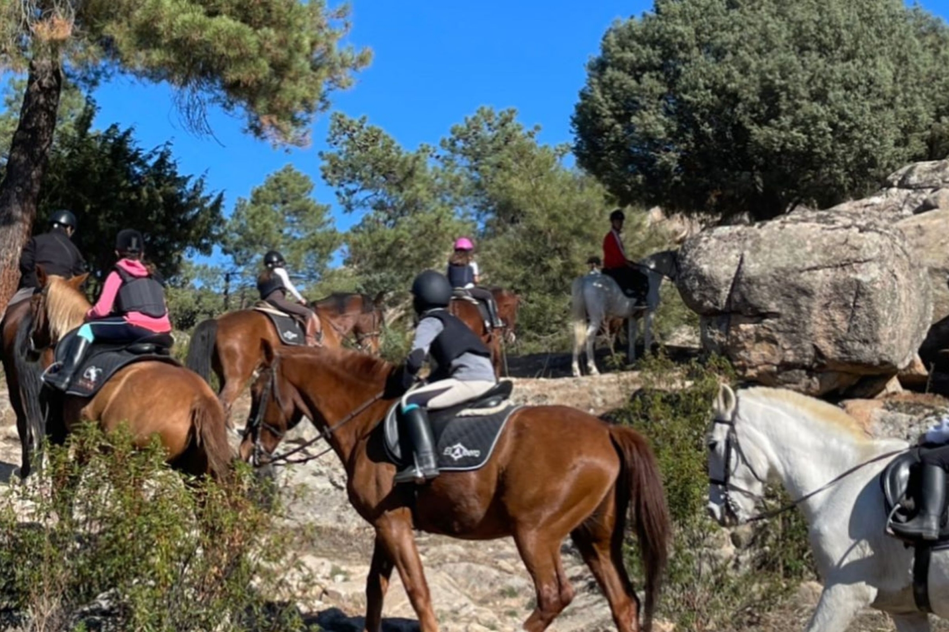 Layos Camp, precios y reservas 2026 | Yumping