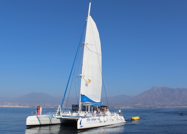 Fly Blue Cruceros, precios y reservas 2026 | Yumping