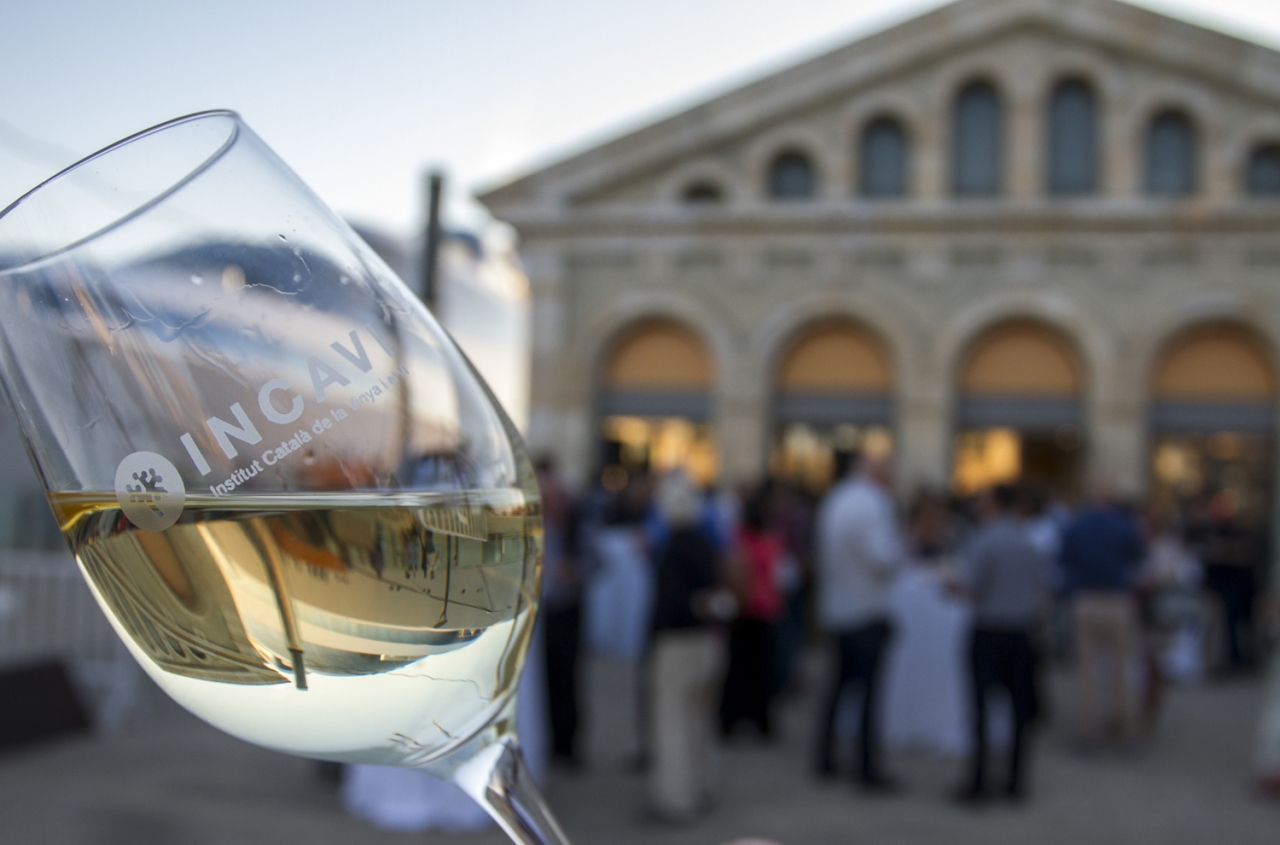 Bodegas Augustus Forum, precios y reservas 2026 | Yumping