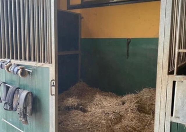 Centro Ecuestre Son Vivot, precios y reservas 2024