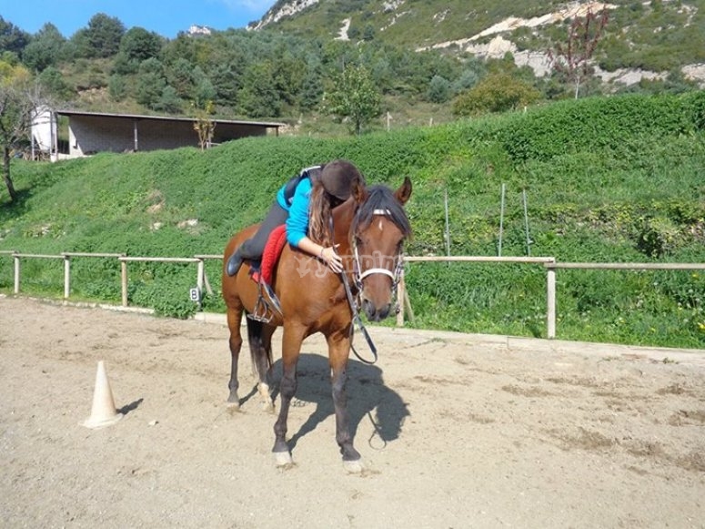 Paseo en pony por Berguedà de 1 hora - Ofertas-aventura Yumping.com