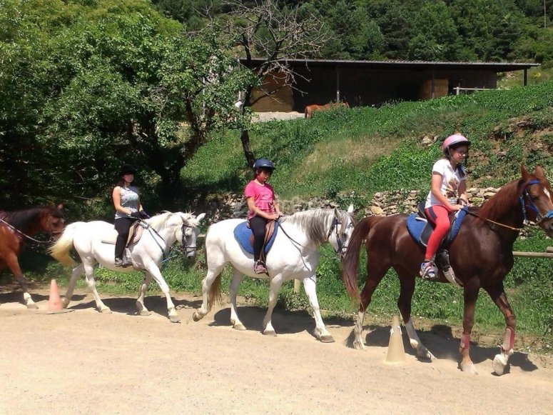 Paseo en pony por Berguedà de 1 hora - Ofertas-aventura Yumping.com