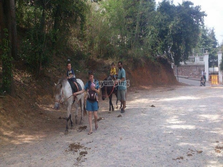 Paseo en pony en Valldoreix 30 minutos desde 15€ - Yumping.com