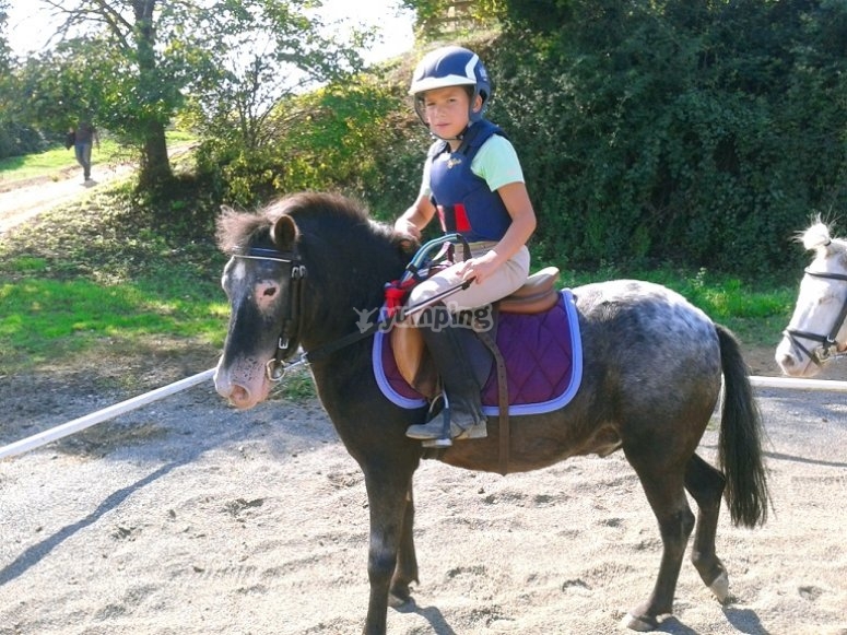 Paseo en pony en Valldoreix 30 minutos desde 15€ - Yumping.com