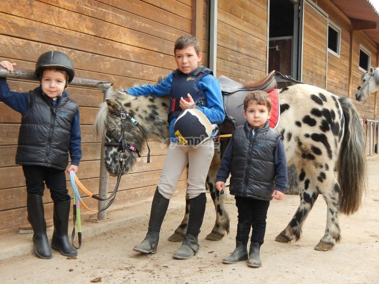 Paseo en pony en Valldoreix 30 minutos desde 15€ | Yumping