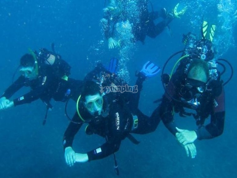 Blue Bottom Diving, precios y reservas 2025 | Yumping