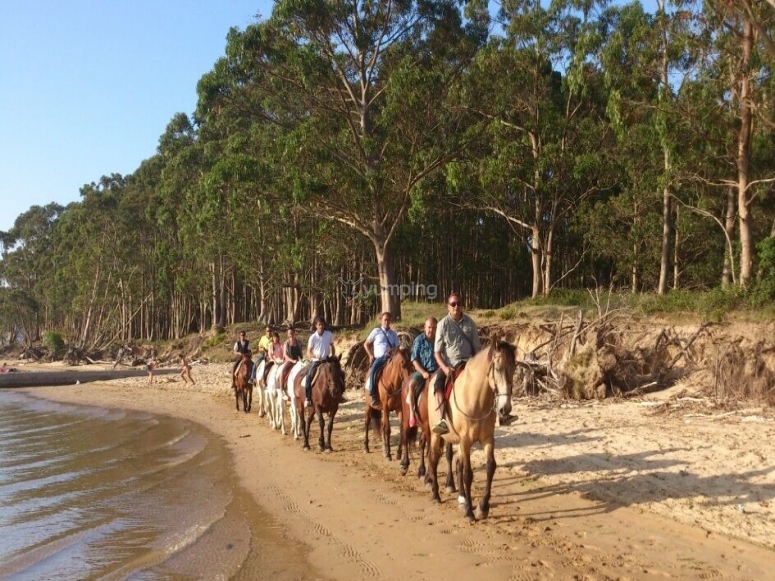 Paseo a caballo en la playa de Laredo, 1h desde 15€ - Yumping.com