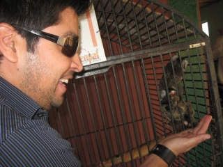 Xenpal, precios y reservas 2025 | Yumping