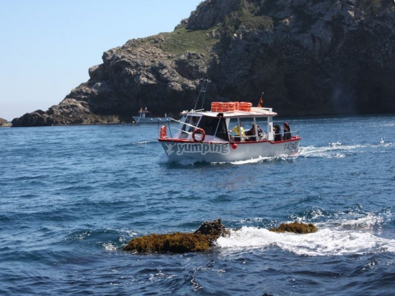 El Fadrí Creuers Marítims, precios y reservas 2025 | Yumping