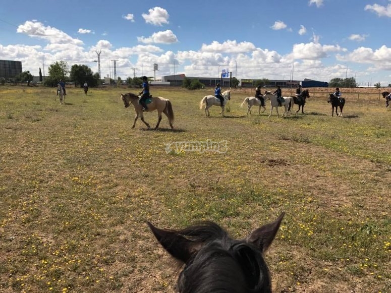 Equus ELM, precios y reservas 2024