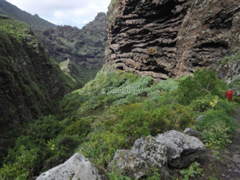 Ruta de senderismo al barranco de Añavingo Arafo desde 18€ - Yumping.com