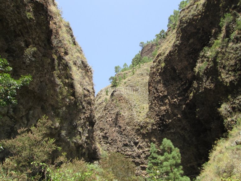 Ruta de senderismo al barranco de Añavingo Arafo desde 18€ | Yumping
