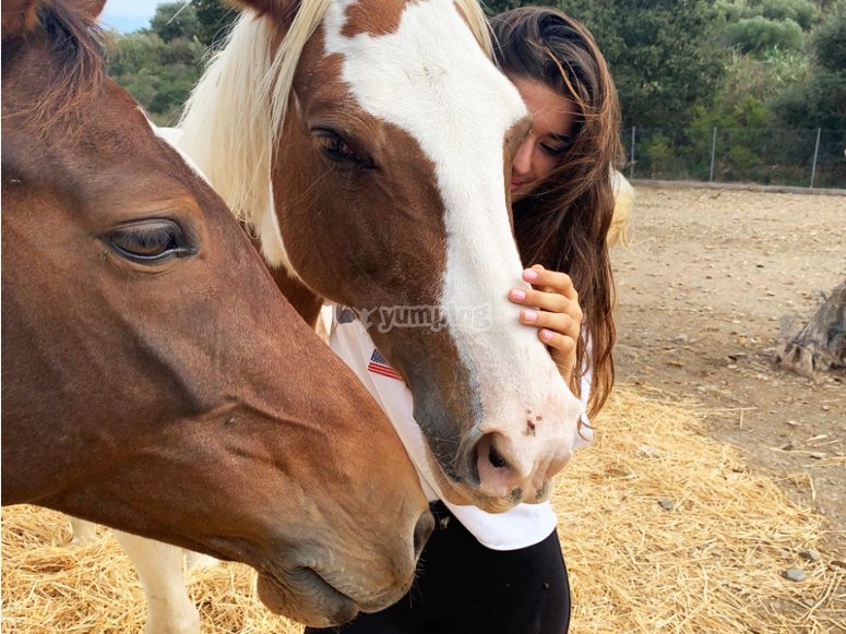 Club Hípic El Camp, prices and bookings 2025 | Yumping