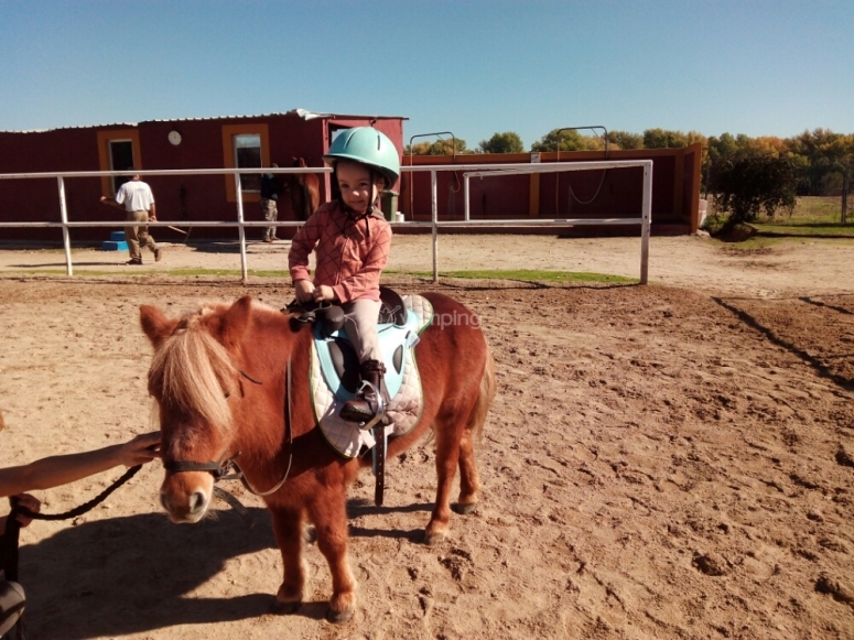 Paseo en pony alrededores río Jarama para niños desde 20€ - Yumping.com