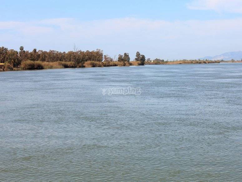 Visita a Parque Natural en Deltebre 1 hora - Ofertas-aventura Yumping.com