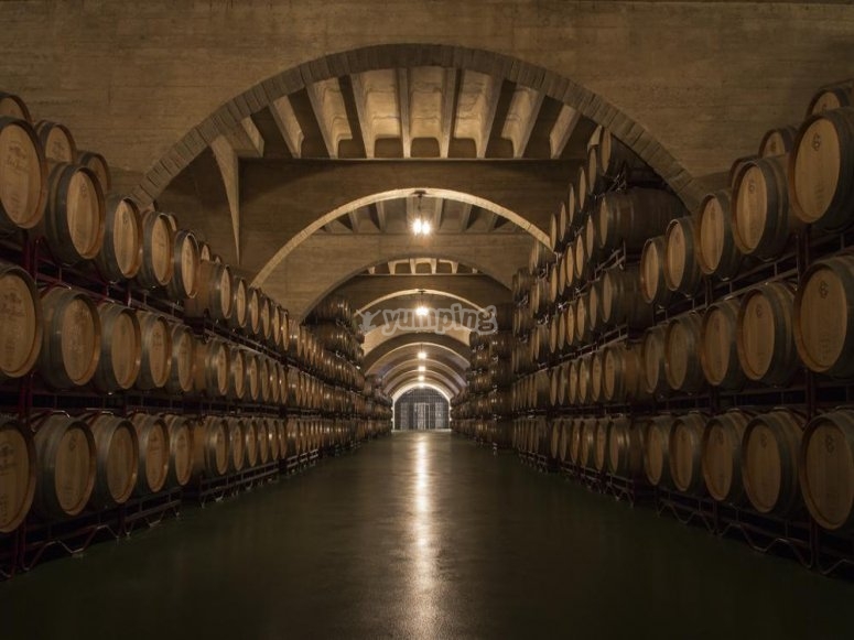 Visita guiada a una bodega de La Rioja desde 20€ - Yumping.com