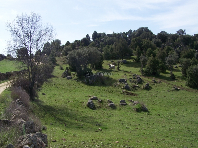 Rutas de senderismo en la naturaleza en El Barraco desde 3€ - Yumping.com