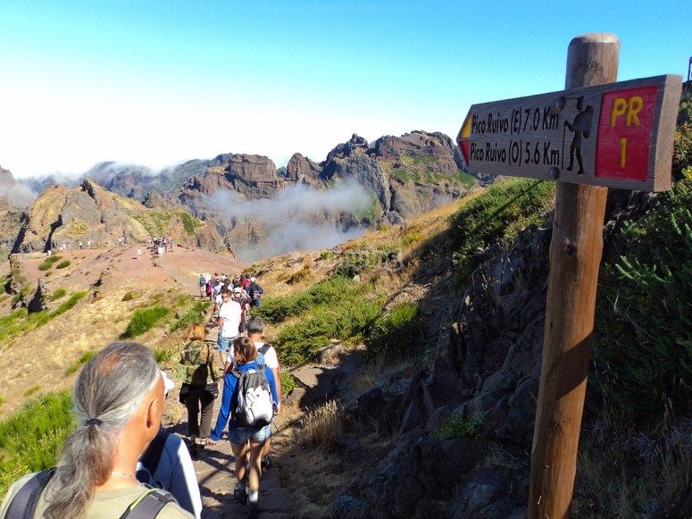 Lokoloko Madeira, precios y reservas 2024