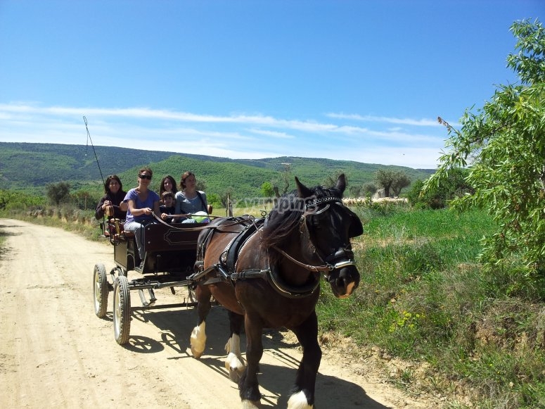 Hípica Vall d'Àger, precios y reservas 2025