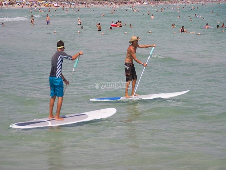 Excursión paddle surf por Playa de Muro 1h 30min desde 45€ | Yumping
