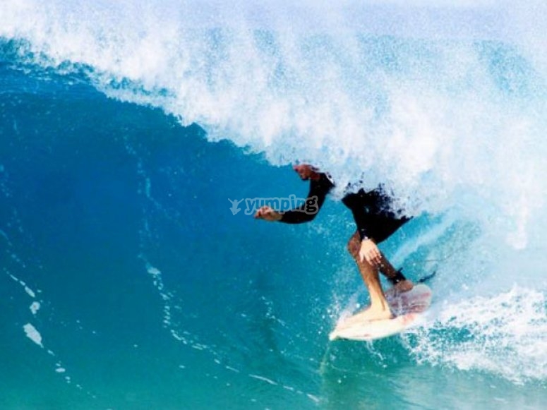 Fresh Surf, prices and bookings 2025 | Yumping