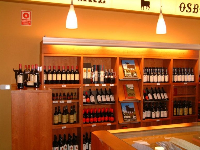 Bodegas Osborne, precios y reservas 2024