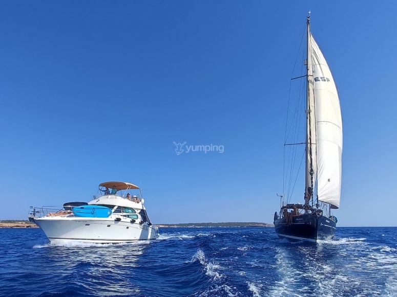 Sea Sailing, prices and bookings 2025 | Yumping