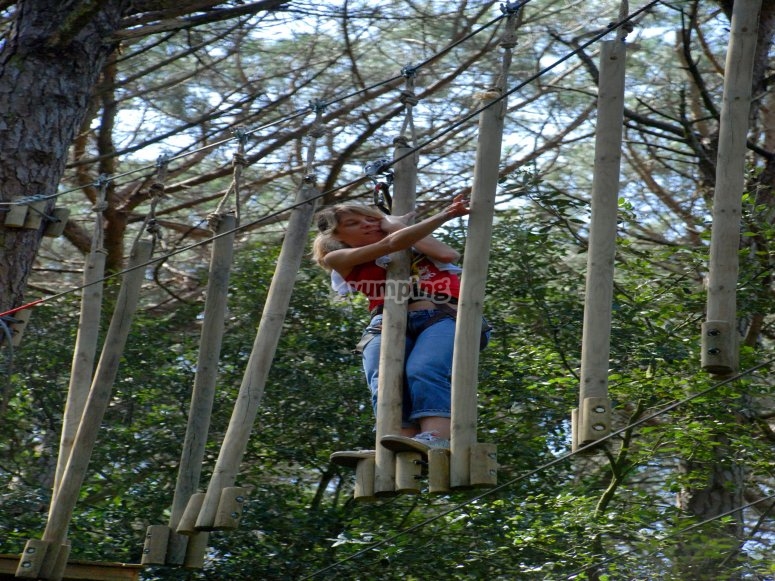 El Bosc Vertical, precios y reservas 2025 | Yumping