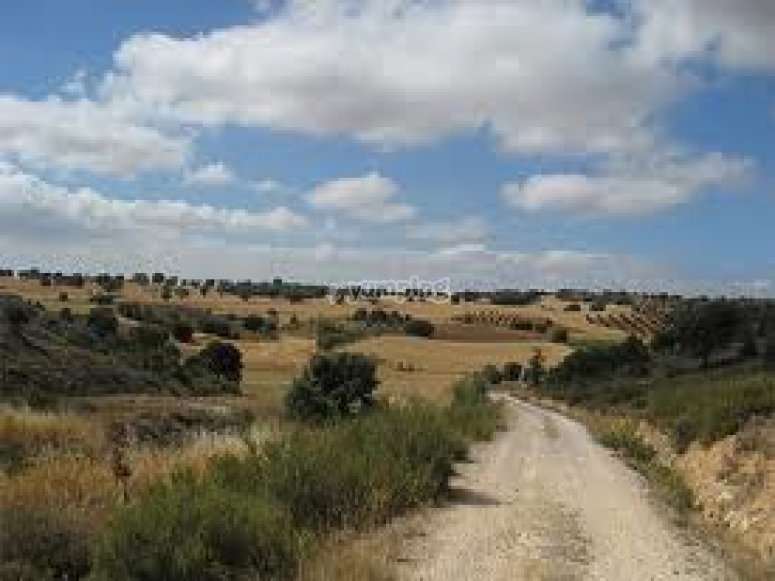 Rimaya, prices and bookings 2025 | Yumping