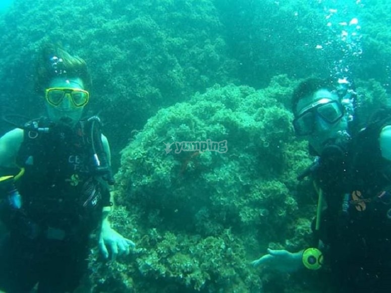 Curso Open Water en la Bahía de Mazarrón de 5 días desde 385€ - Yumping.com