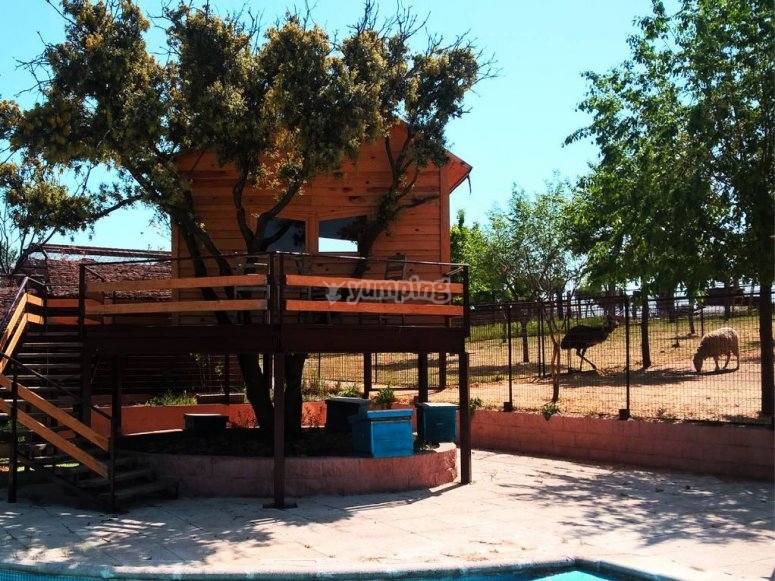 Granja Escuela Giraluna Precios Y Reservas 2024 Granja Escuela Giraluna Precios Y Reservas 2024