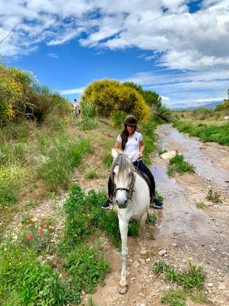 Paseo en poni en Riudoms 30 minutos desde 15€ - Yumping.com