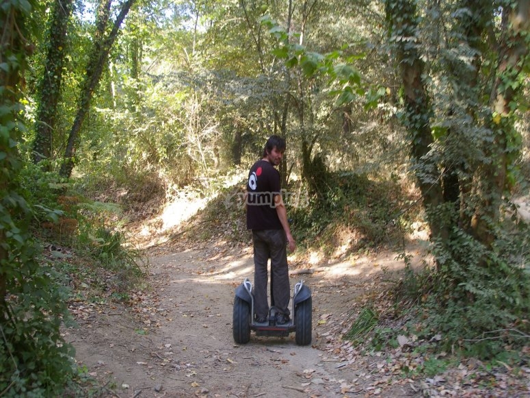 El Bosc Vertical, precios y reservas 2024