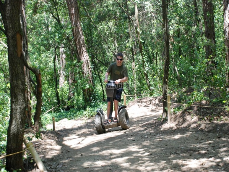 El Bosc Vertical, precios y reservas 2024