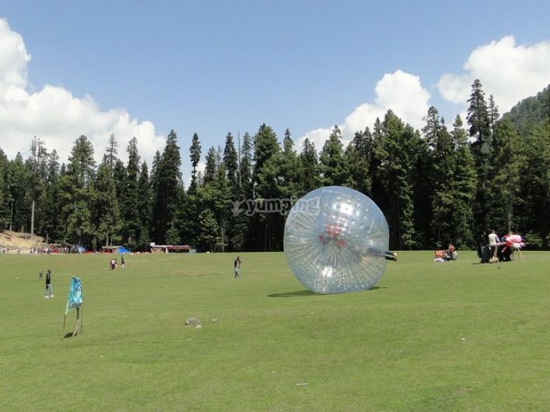 Ocius Park, precios y reservas 2024