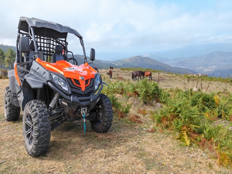 BuggyTour, precios y reservas 2025 | Yumping